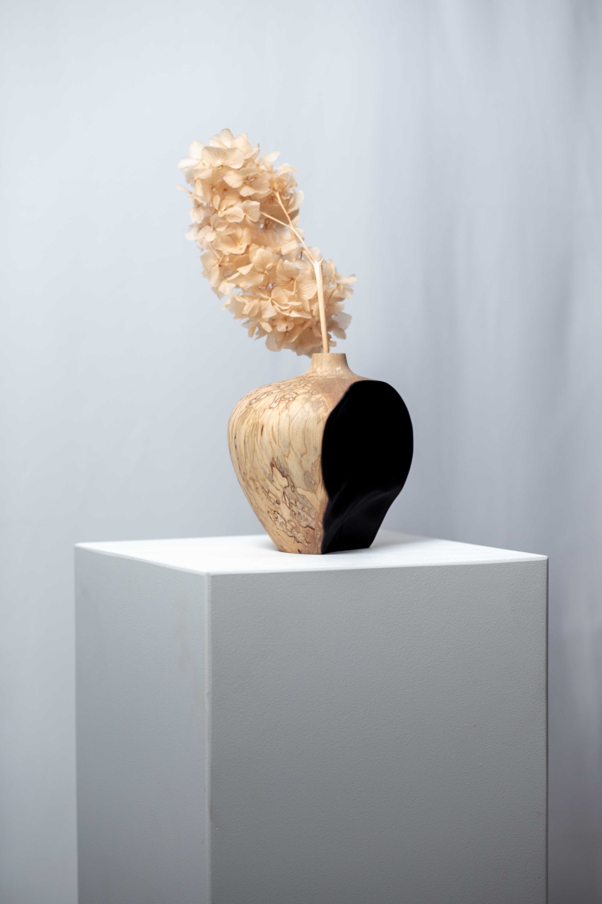 The Sculpted Collection – Jak. Natural Designs